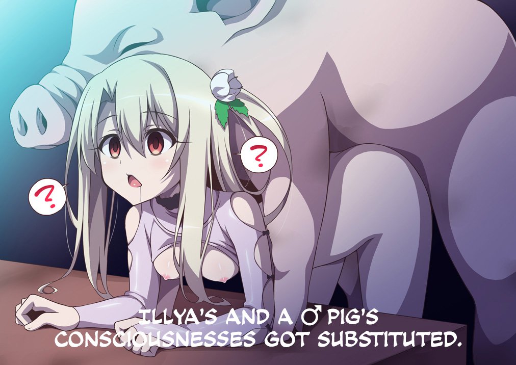 Reading Buta Illya Doujinshi Hentai By Aogiri Marimo 1 Buta Illya Oneshot Page 1 Hentai